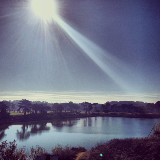 Week 1: The Beginning – Where's The Tofu?