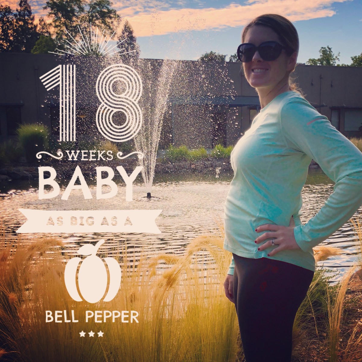 Week 18: Goodbye, Pants – Where's The Tofu?